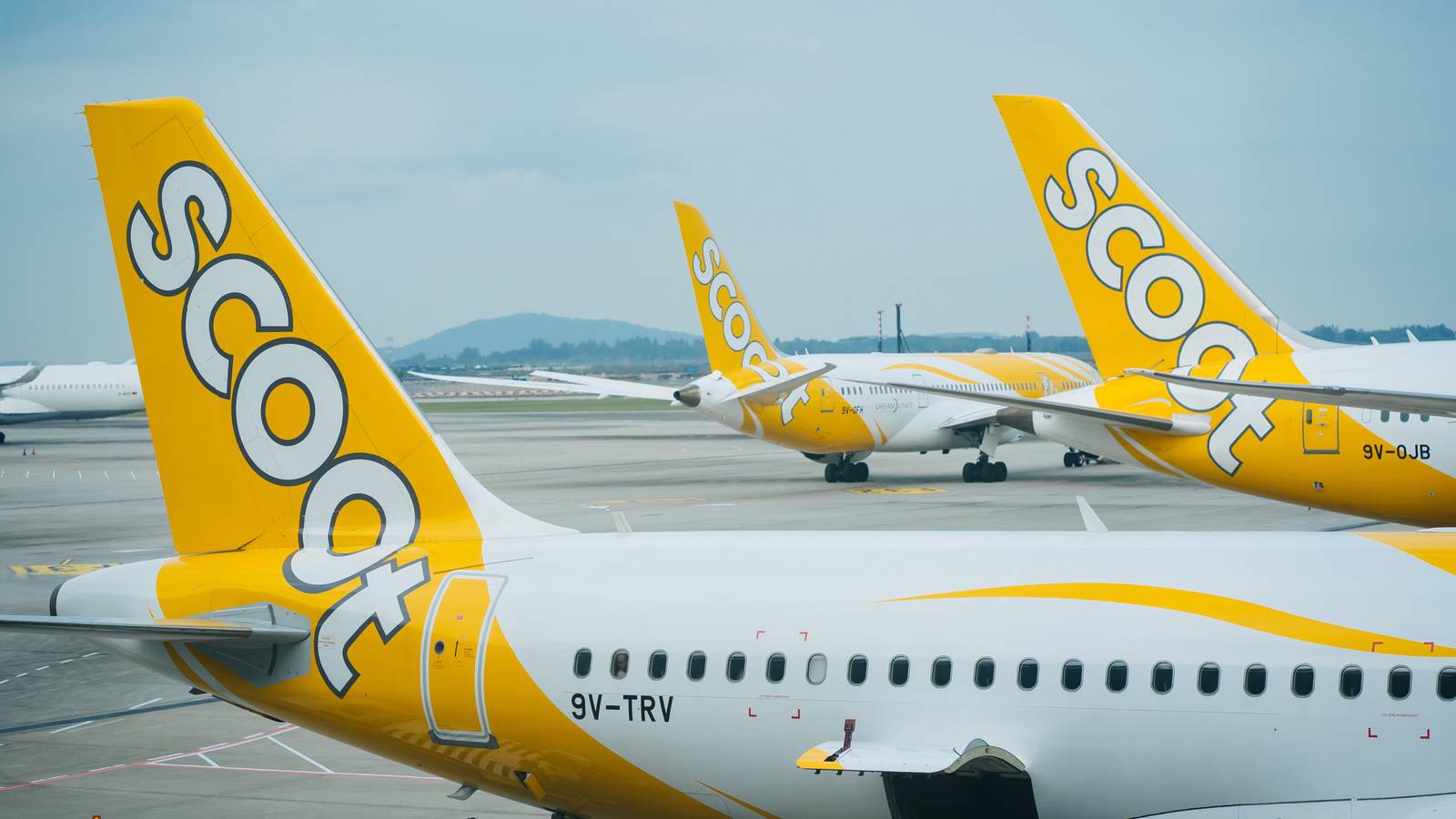 Scoot's Busiest Boeing 787 Dreamliner Routes This Year: What To Expect ...