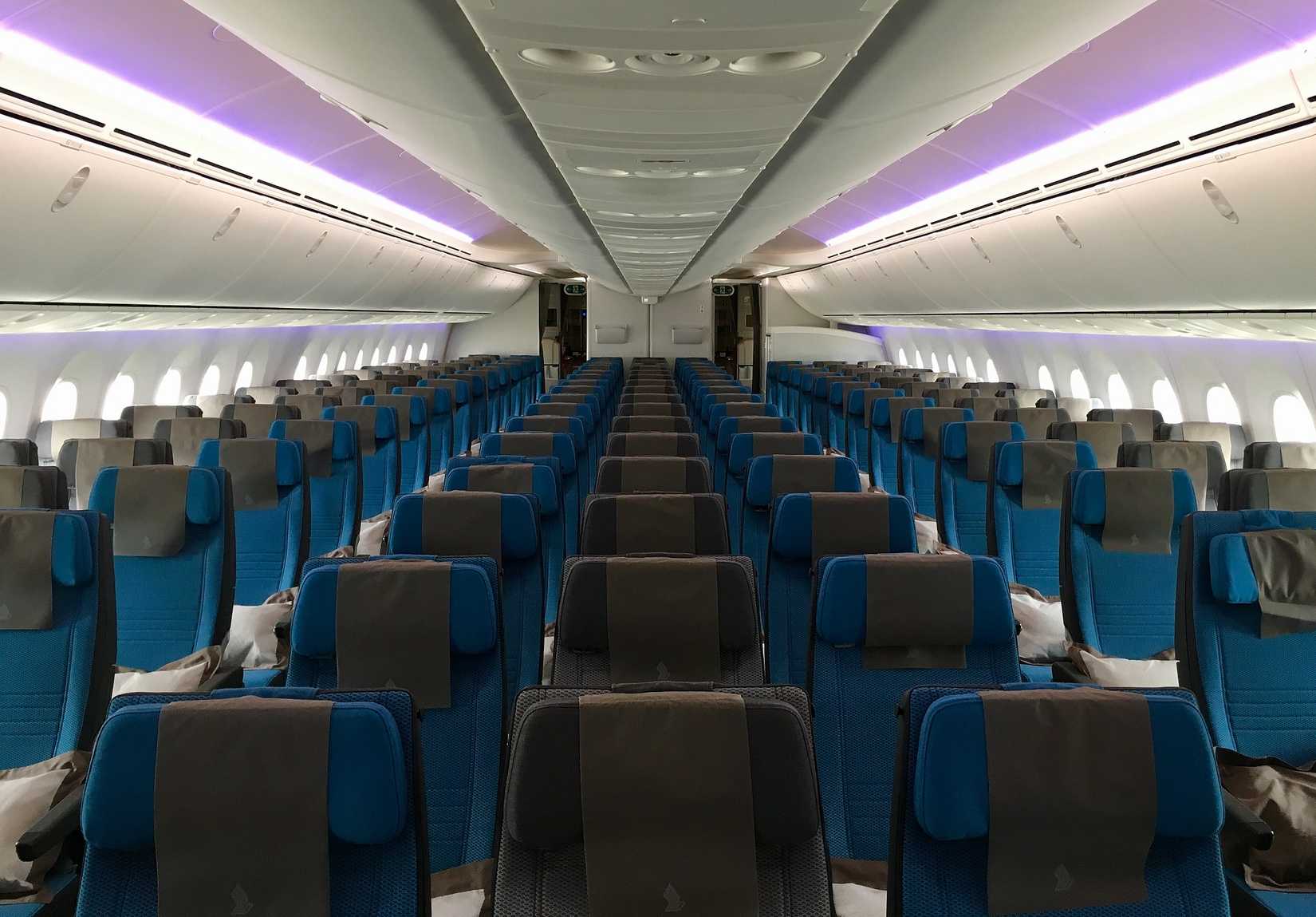 What Is The Boeing 787 Dreamliner's Maximum Passenger Capacity?