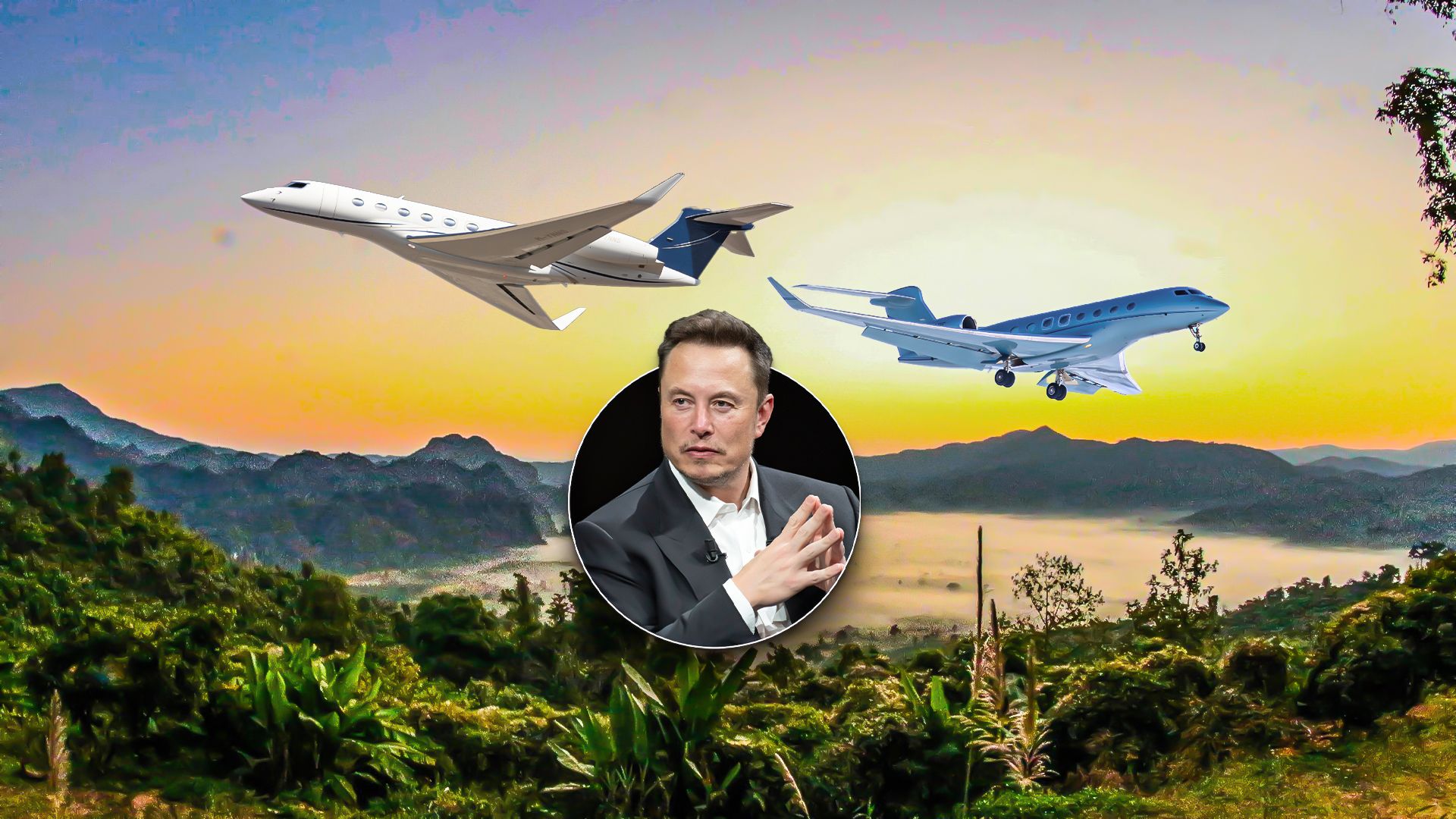 How Many Private Jets Does Elon Musk Own?