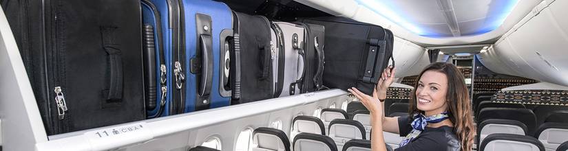 Should Overhead Bin Space Be Guaranteed For Everyone?