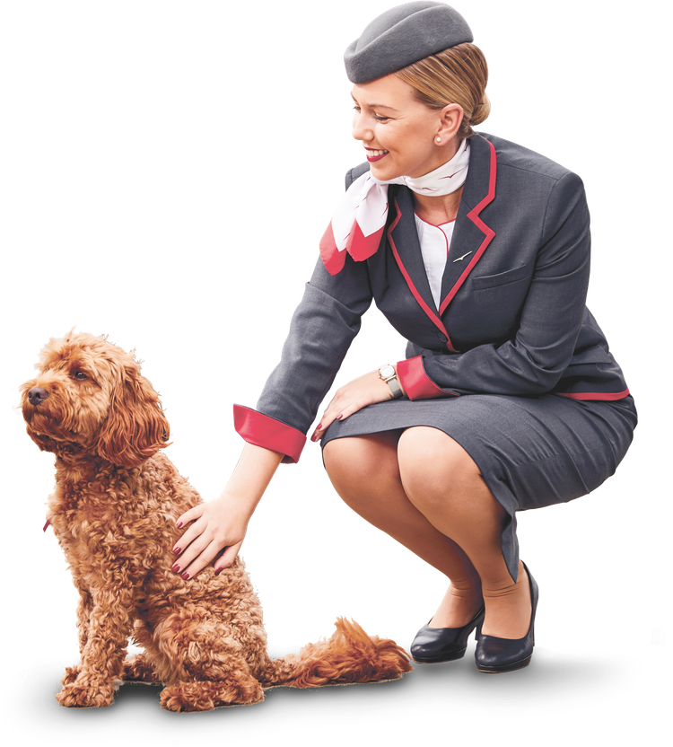 Flying with Pets: What You Need to Know About Private Jet Travel with ...