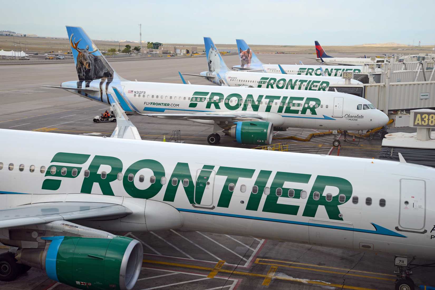 Why Spirit Airlines Really Doesn't Want To Join Forces With Frontier
