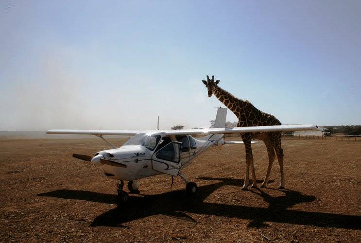 Australian Kit Planes? A Complete Guide To Jabiru Aircraft