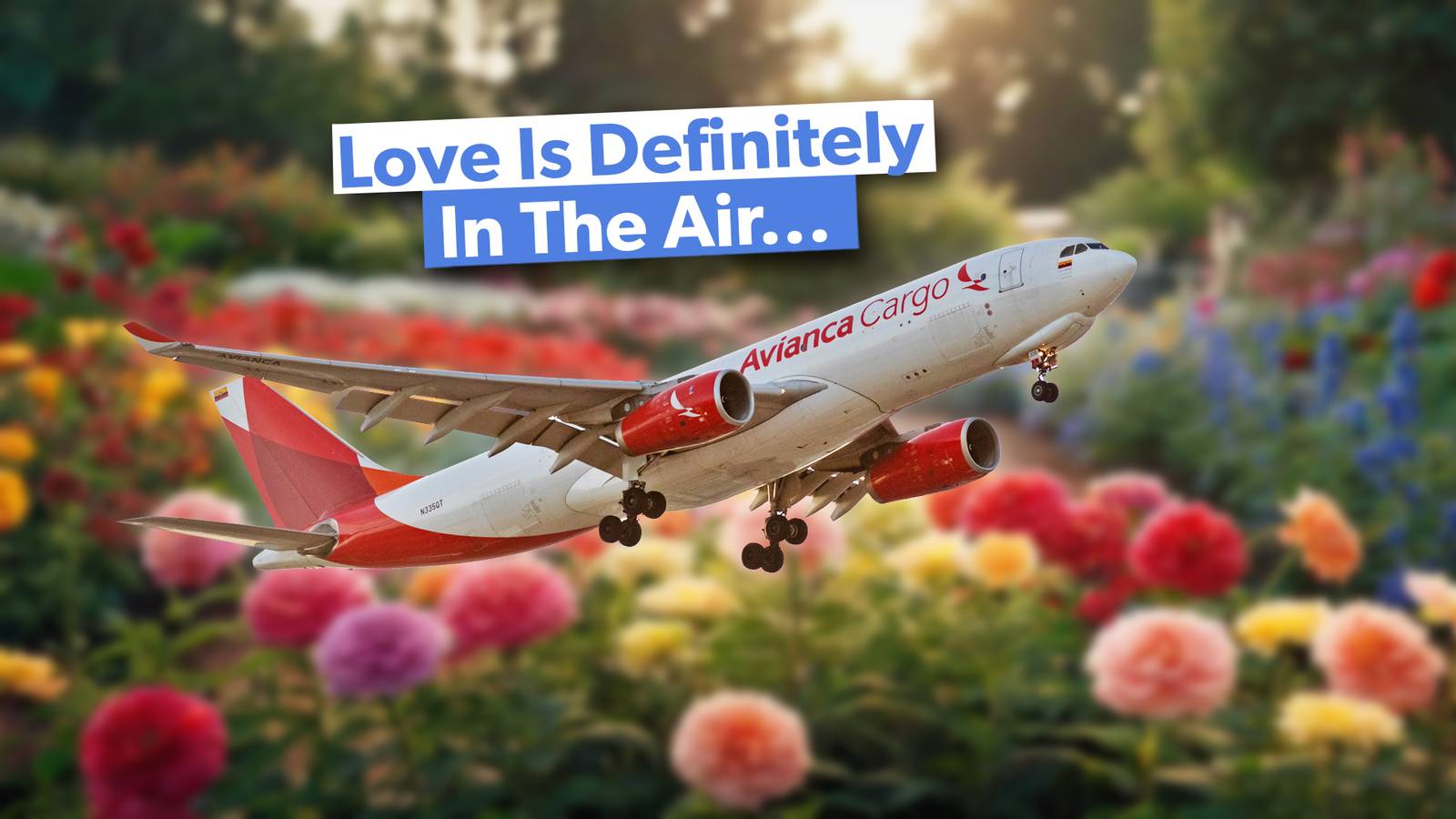 Why This Airline Loves Valentine's Day