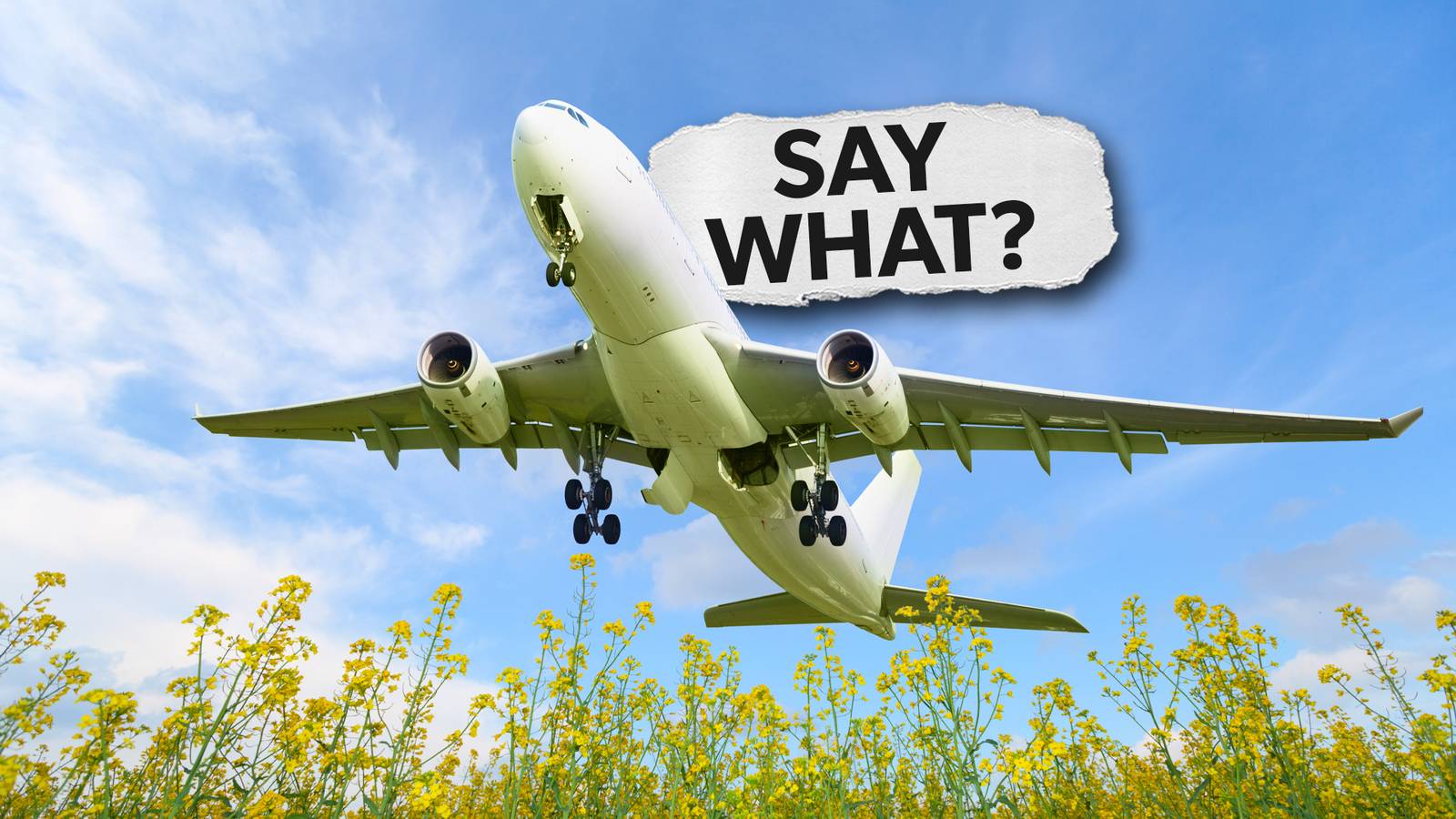 What Are Some Of The Most Quirky Airline Call Signs In Aviation History?