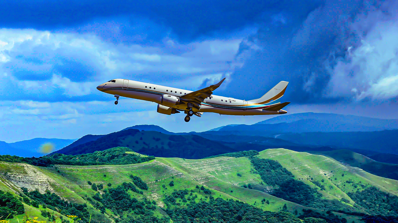 The Cost of Flying an Embraer Lineage 1000