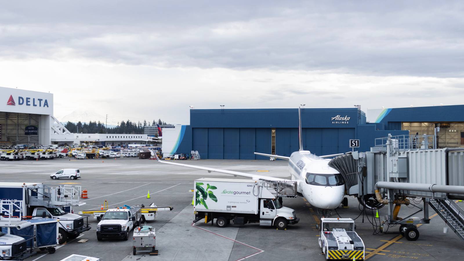 SeaTac Has Hit Capacity: What Now?