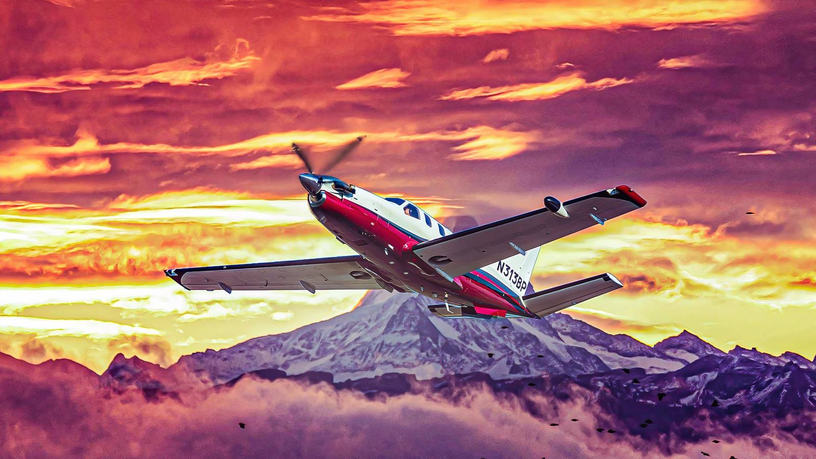 What Makes The Daher TBM Series So Popular?