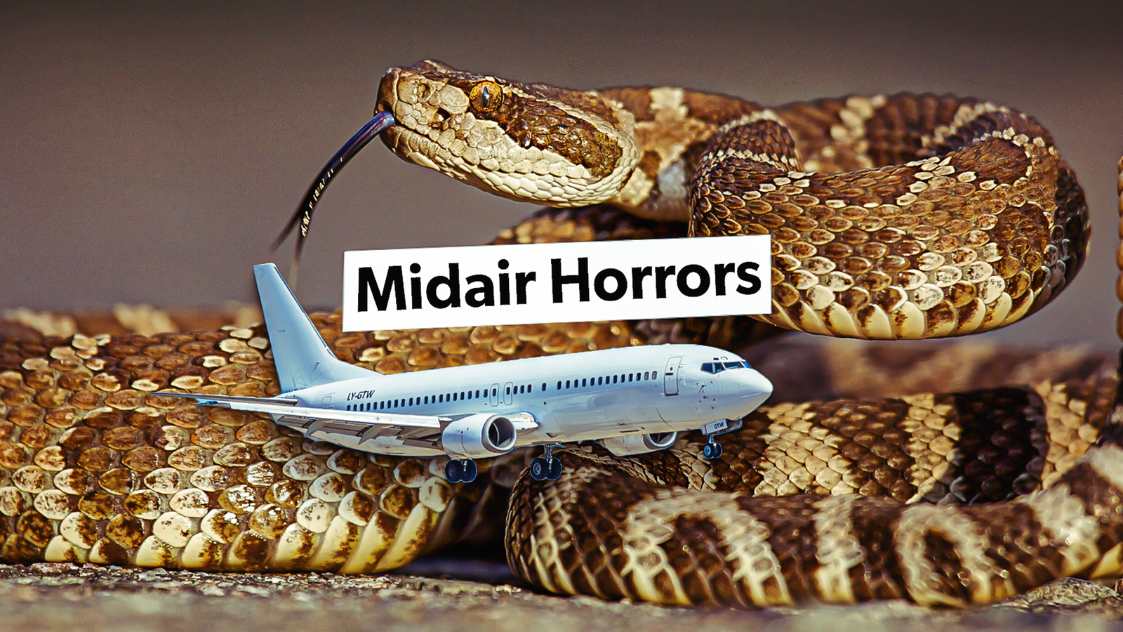 Snakes On A Plane: When Serpents Have Caused Panic Onboard