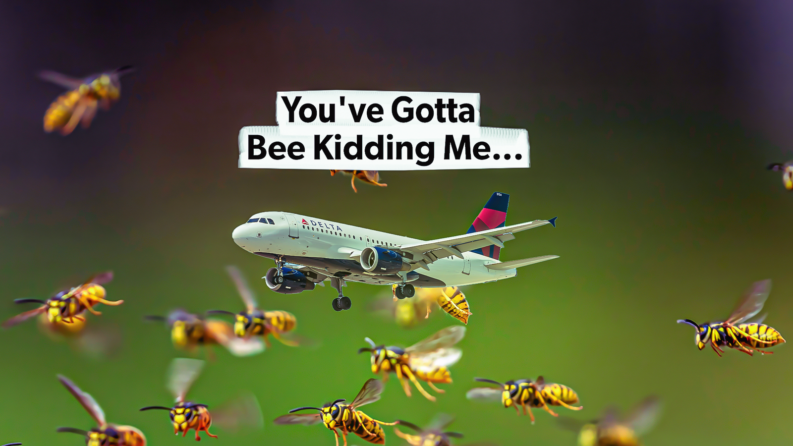 When A Swarm Of Bees Delayed A Delta Air Lines Flight From Houston