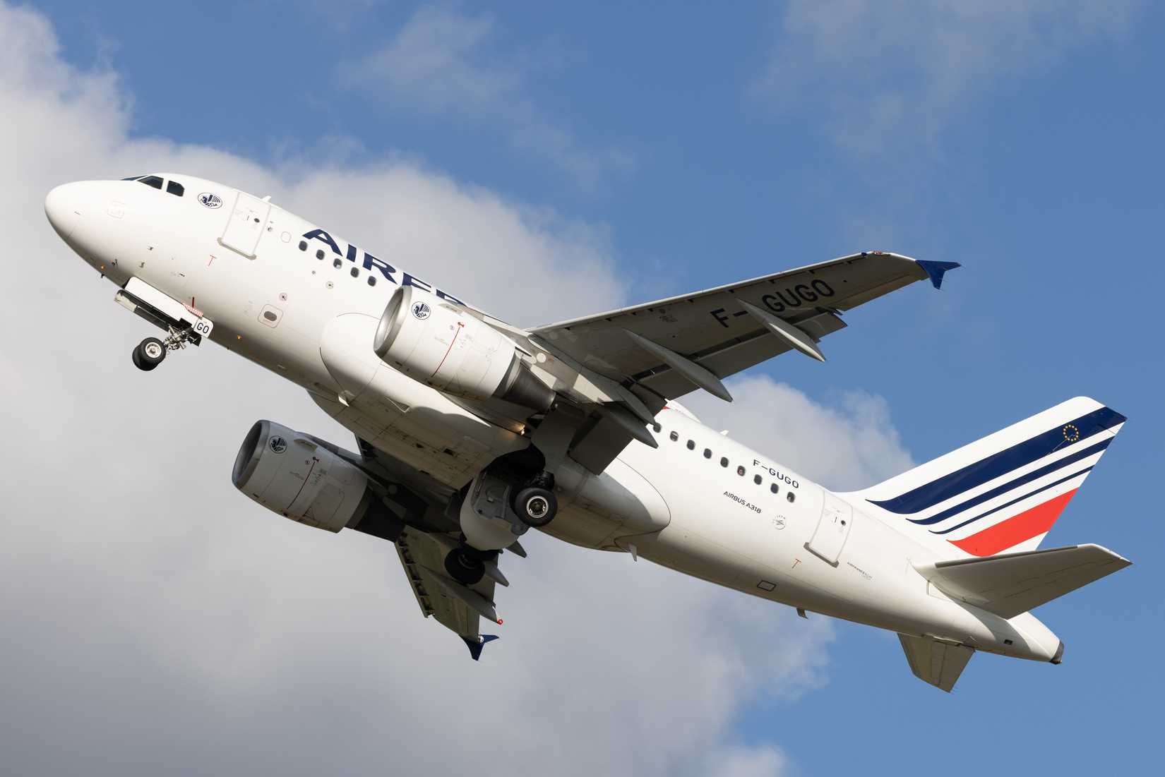 Are There Any Airbus A318s Still Flying?