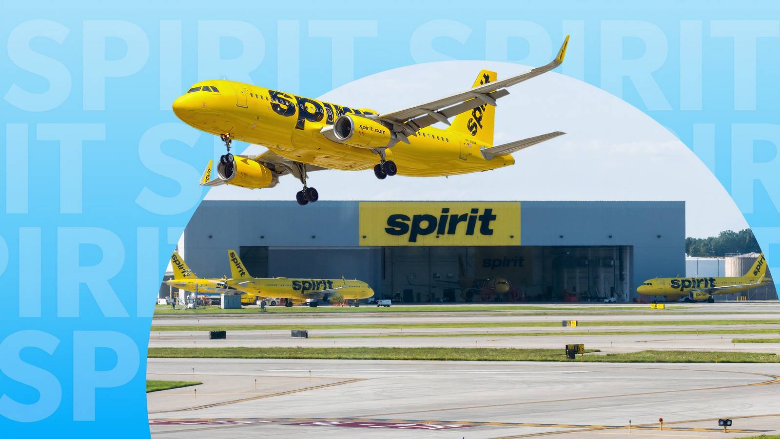 Why Spirit Airlines' Biggest Fans Love Its "Existence So Much"