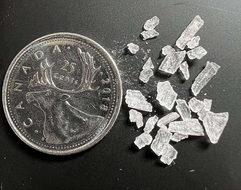 CBP Intercepts Nearly $2 Million Worth Of Liquid Meth Disguised In Dog ...