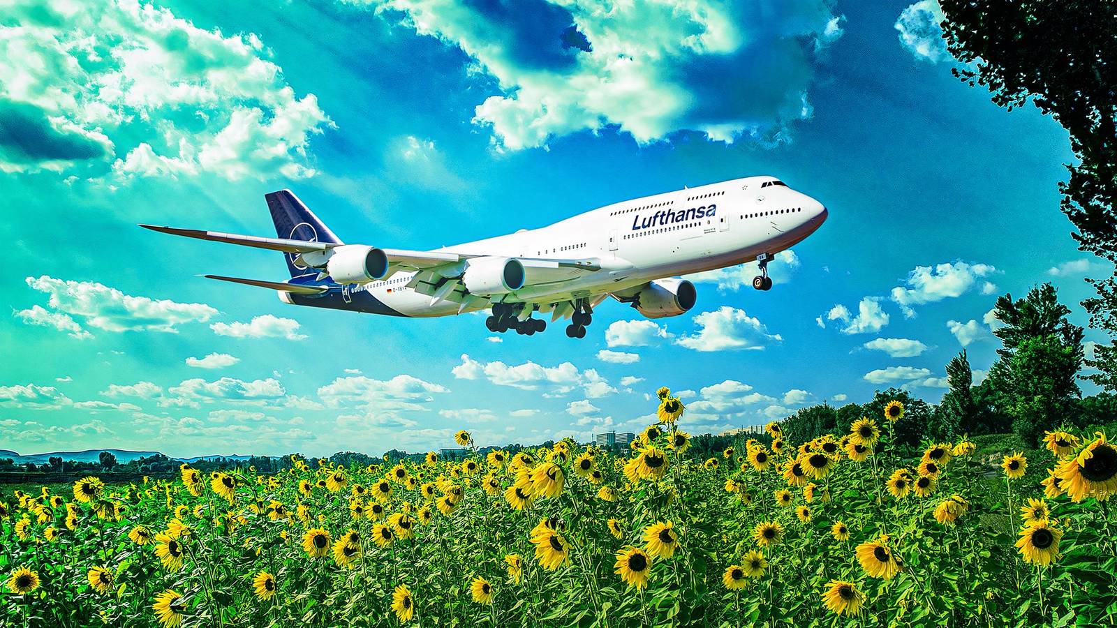 These Are The Shortest Boeing 747 Routes This Summer