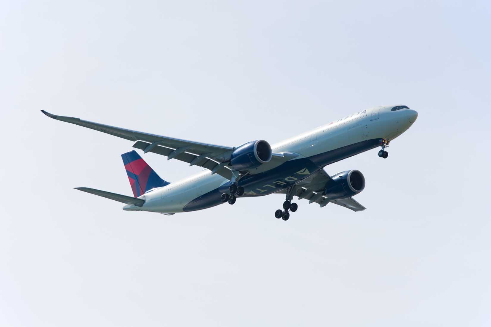 When Did Delta Air Lines Start Adding This Cool Feature To Its Livery?