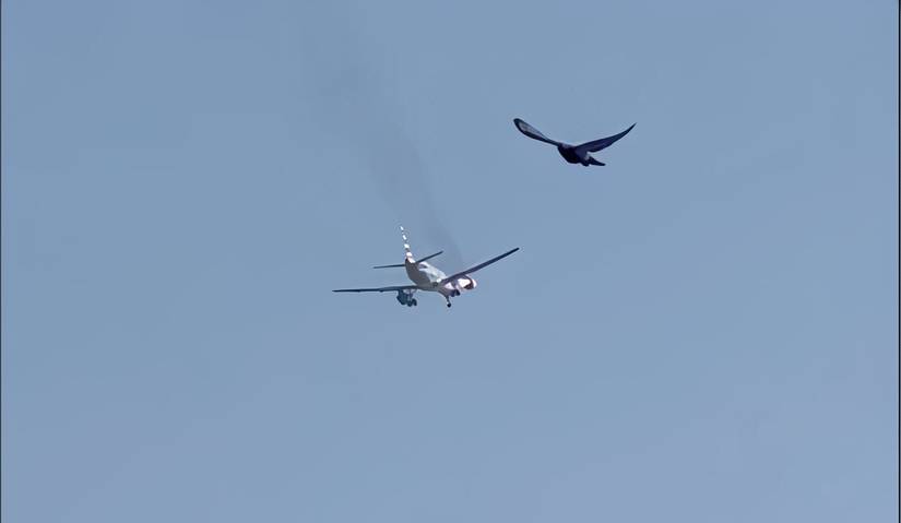 "Sounded Like Things Exploding": American Airlines Airbus A321 Suffers ...