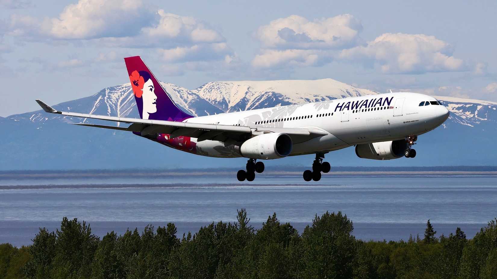 The New Inflight Addition Hawaiian Airlines Passengers Are Raving About