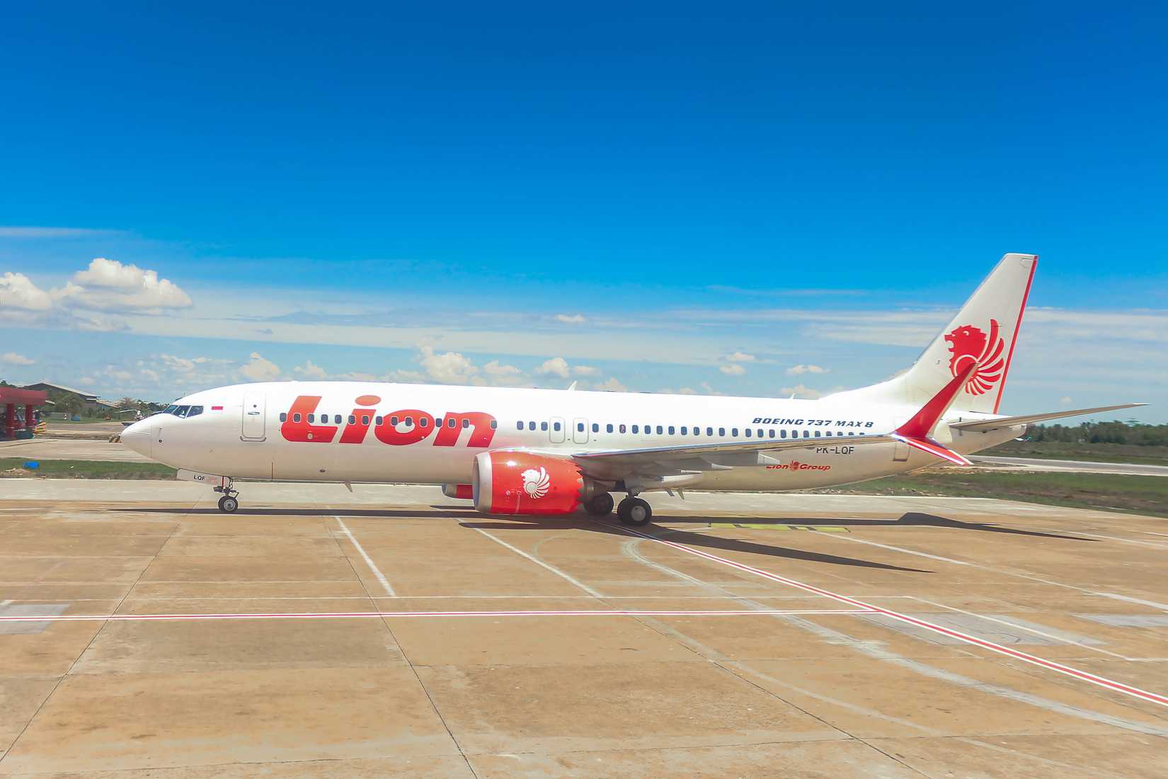 Why The Boeing 737 MAX Has Such A Flattened Engine Shape Compared To ...