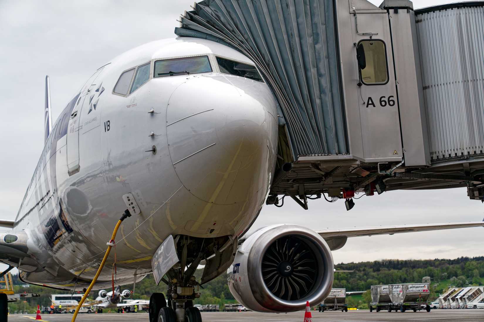 Why The Boeing 737 MAX Has Such A Flattened Engine Shape Compared To ...