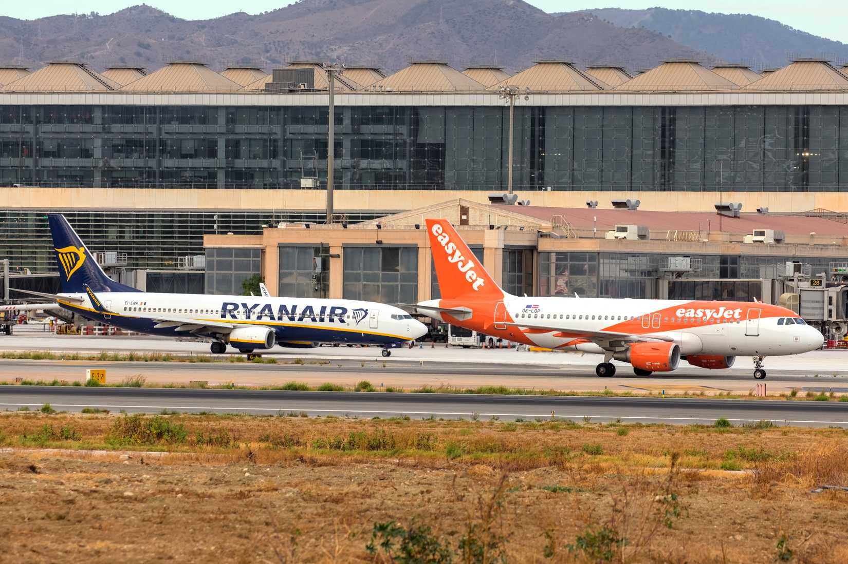 easyJet Vs. Ryanair Vs. Wizz Air: Which European Low-Cost Carrier Has The Most Aircraft?