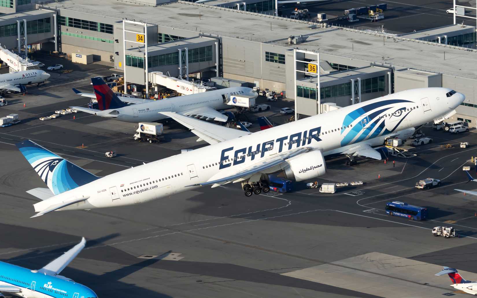 A New Era: EgyptAir’s First Airbus A350 Takes Flight
