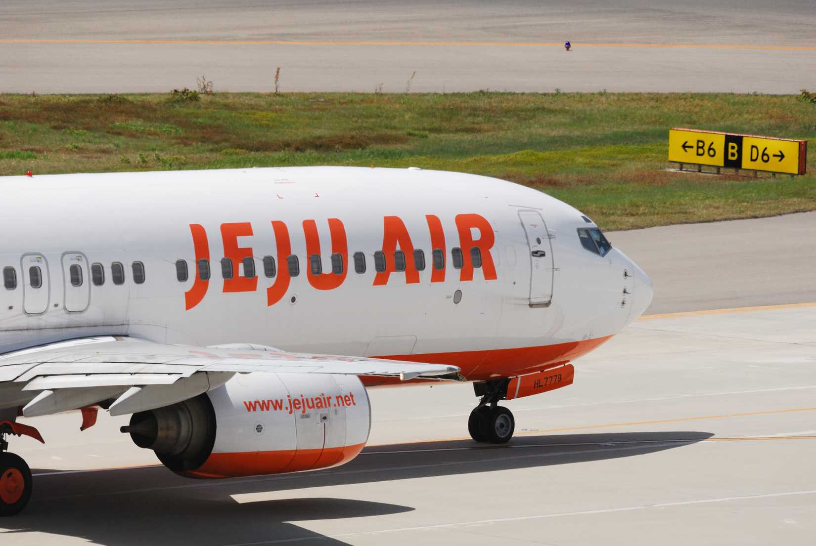 Jeju Air Interim Report: Pilots Shut Off Wrong Engine After Bird Strike