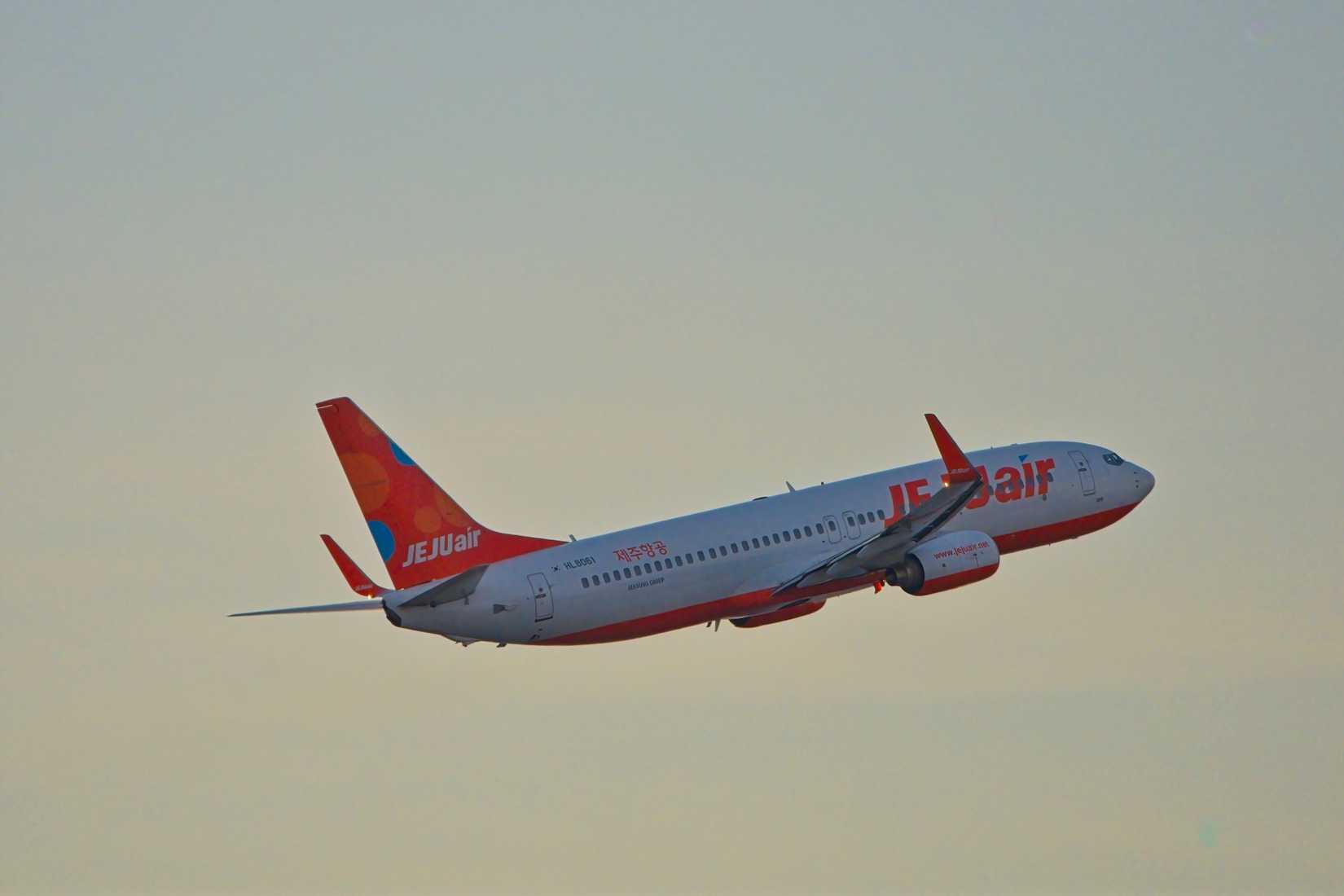 Jeju Air Interim Report: Pilots Shut Off Wrong Engine After Bird Strike