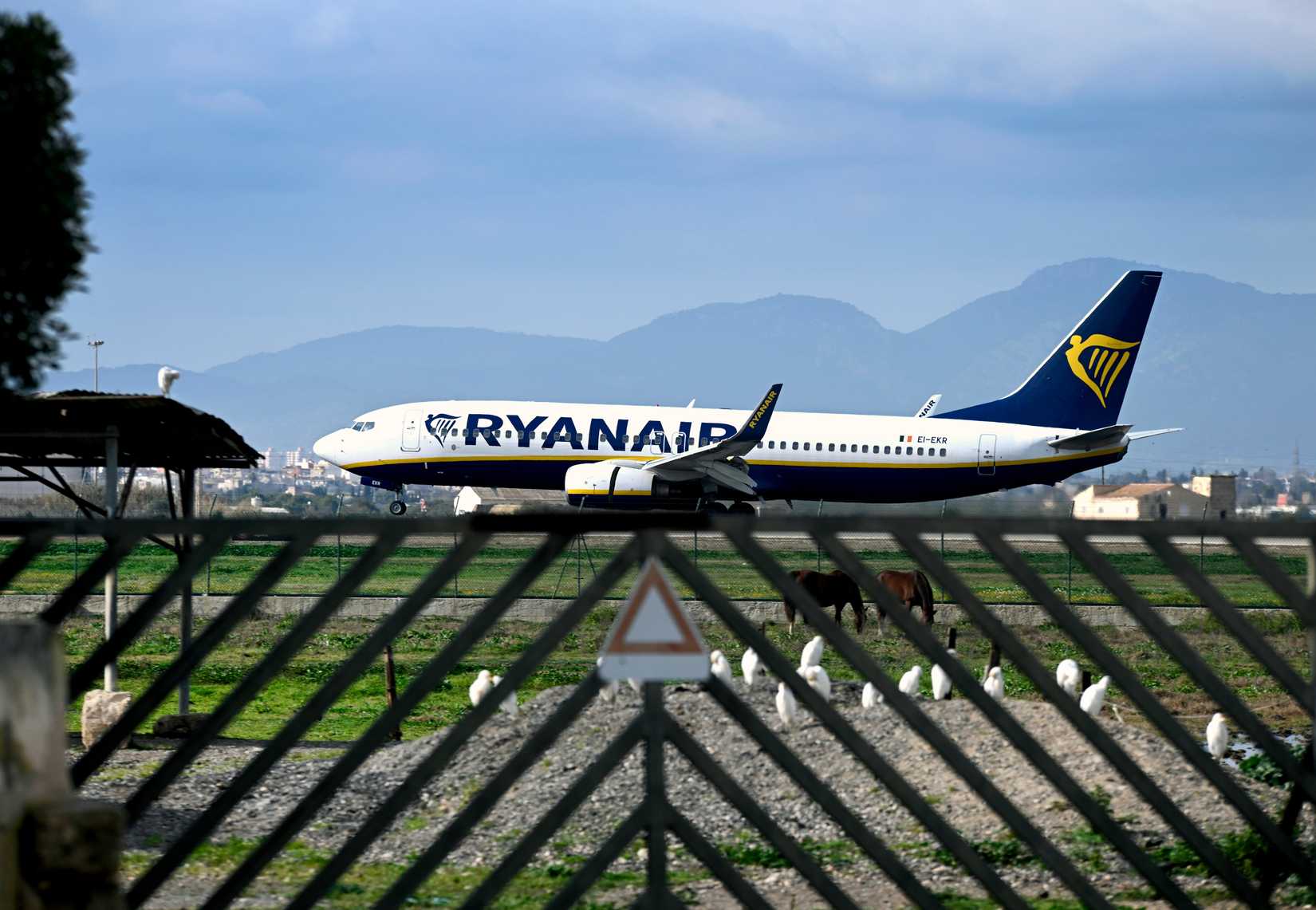18 Injured During Evacuation After Fire Alert On Ryanair Flight To ...