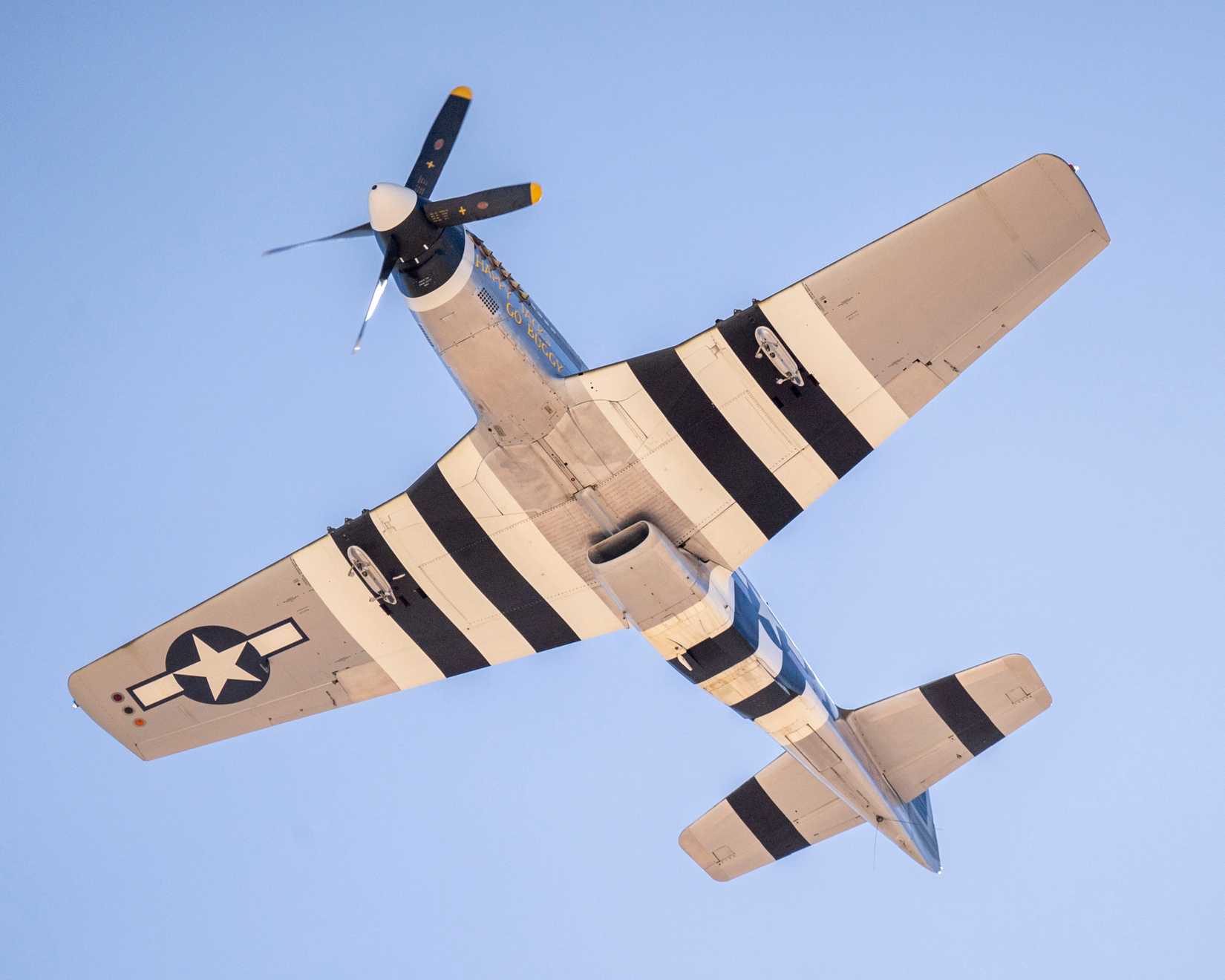 P-51 Mustang: The Fighter That Changed WWII