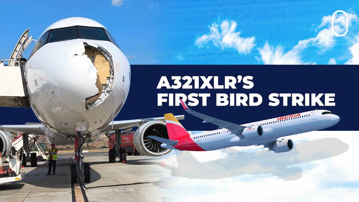 Airbus A321XLR's First Incident? Serious Bird Strike Forces Diversion