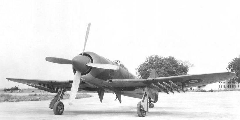 The Last Hawker Tempest Still Airworthy