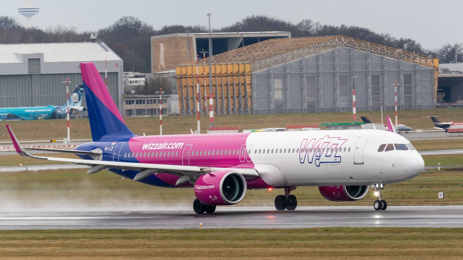 Airbus CEO: Company On Track To Meet 2025 Delivery Goals Despite Engine ...