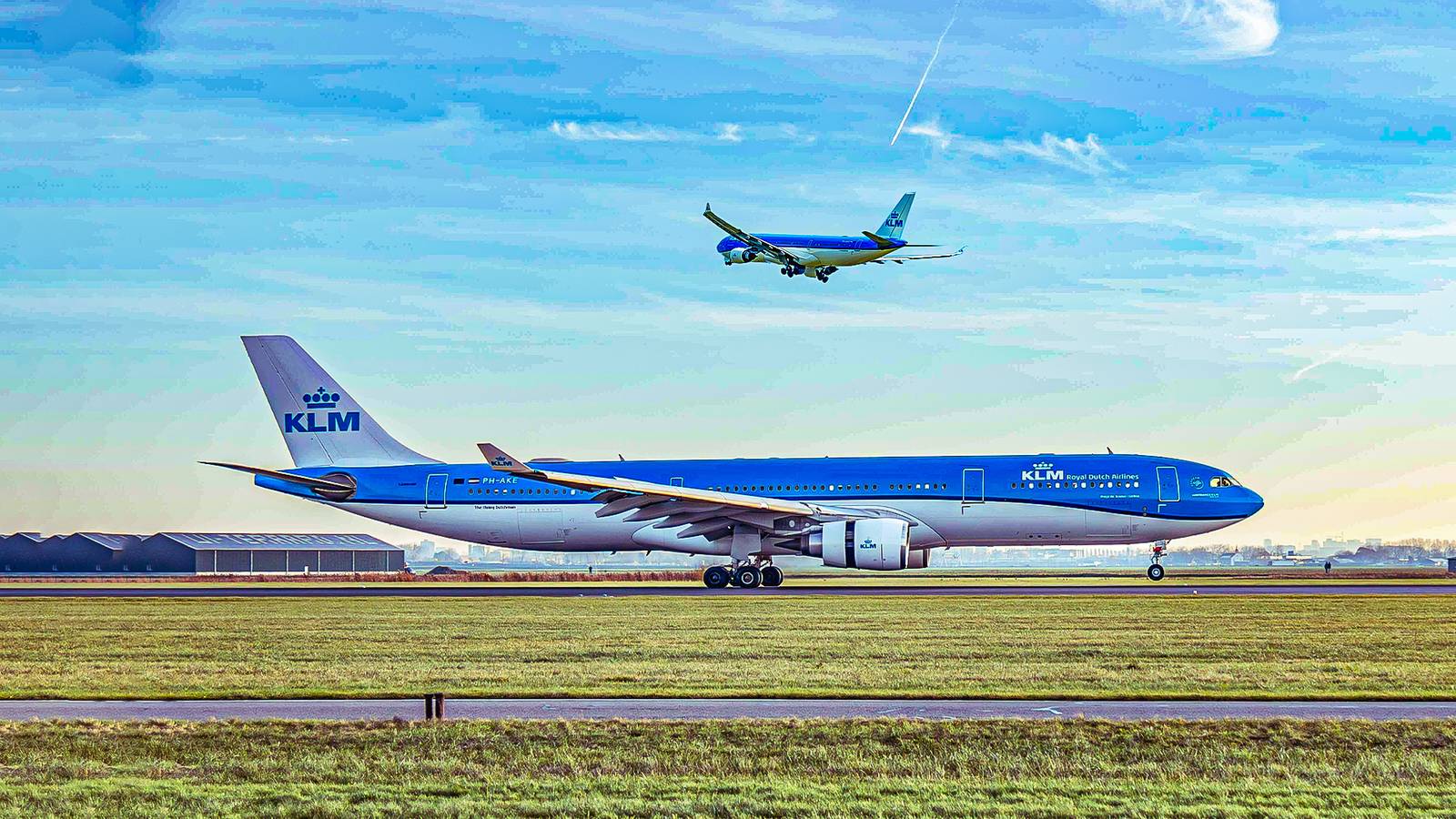 KLM Passenger Describes Another Bed Bug Nightmare After Family Sues For ...