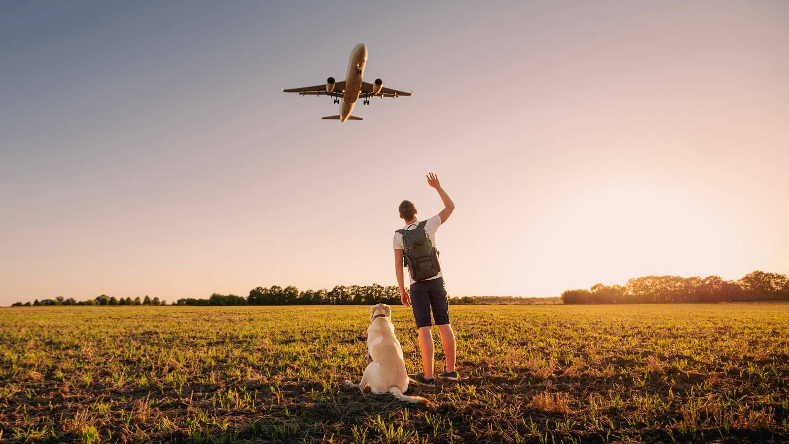 The Unexpected Reason Dog Owners Are Heading To The Airport Tonight