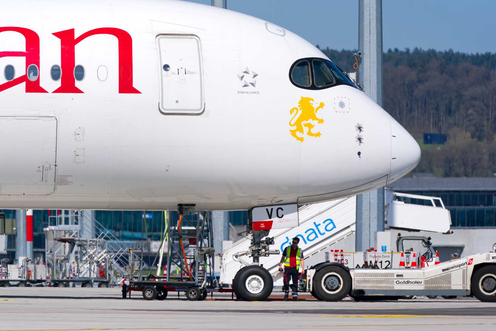 A First For Africa: Ethiopian Airlines Rolls Out Airbus A350 Strip-And ...