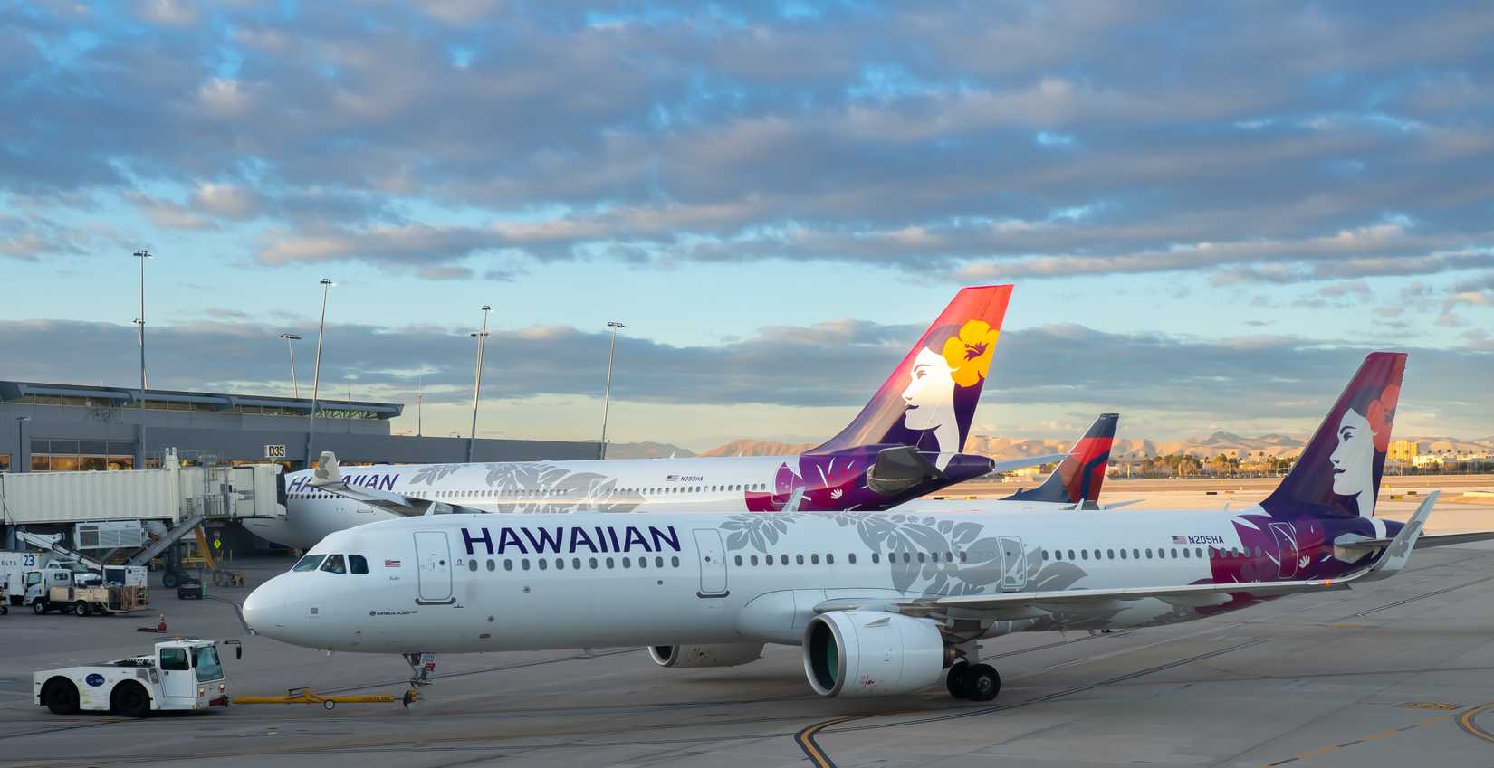 Hawaiian Airlines Criticized After Memo Said Native Language Would Be ...