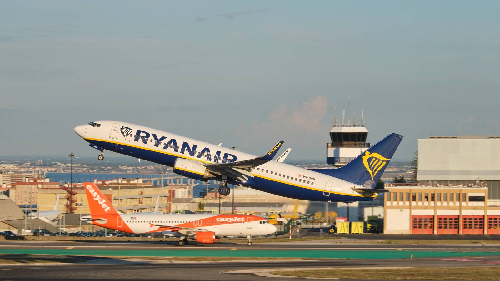 Top 10 Airlines With The Most International Flights 2026: Surprising ...