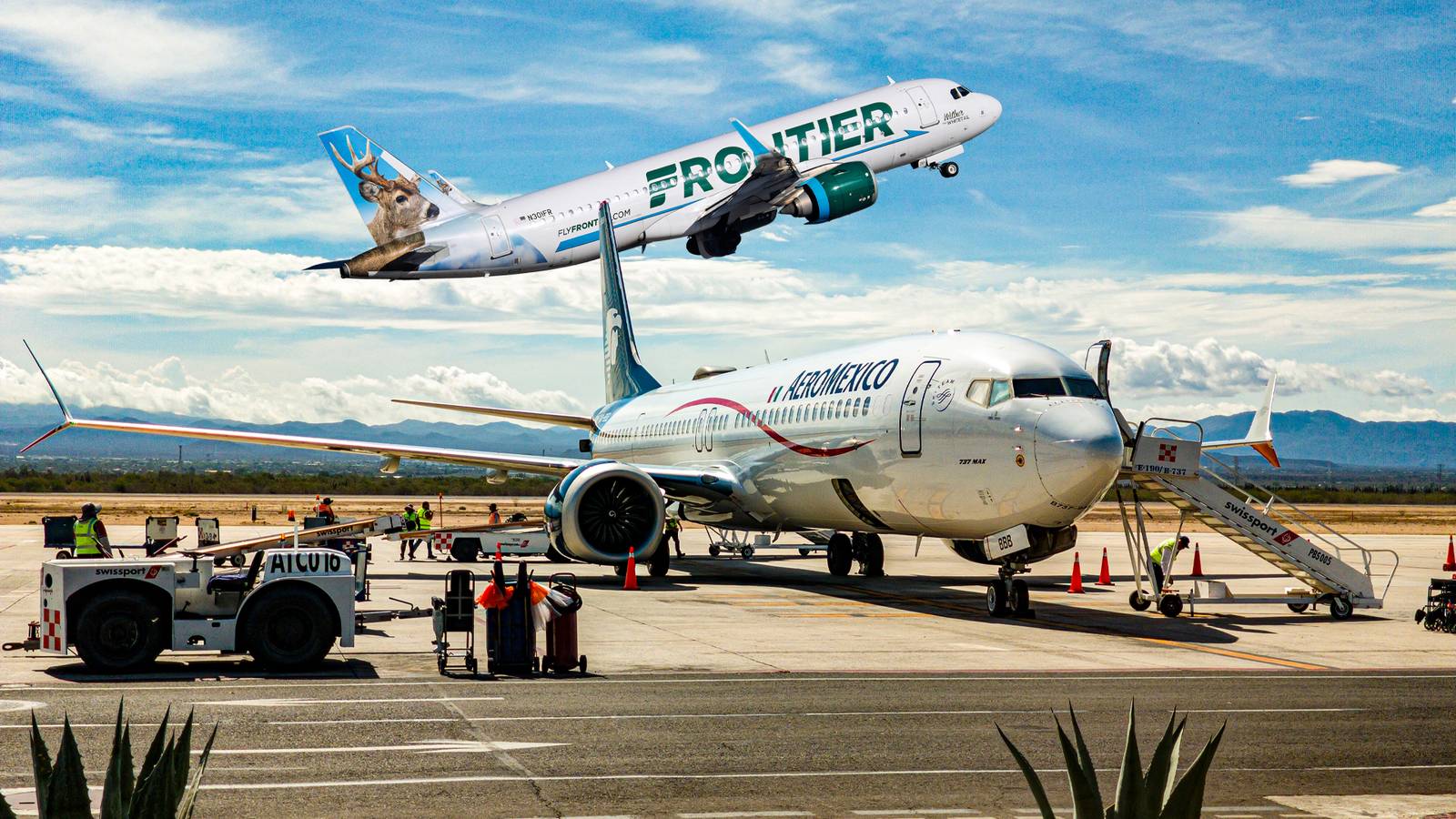 The Striking Differences Between The Boeing 737 MAX & Airbus A320neo ...